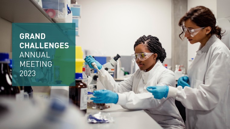 Global Grand Challenges
