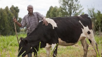 'One Health' – Human and Animal Health, Together Again